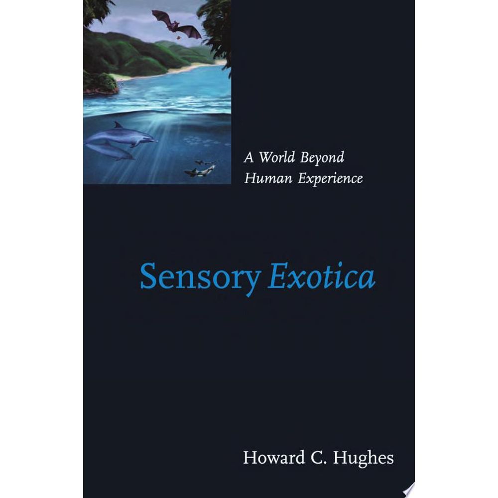SENSORY EXOTICA:WORLD HUMAN EXPERIENCE - martinsfontespaulista