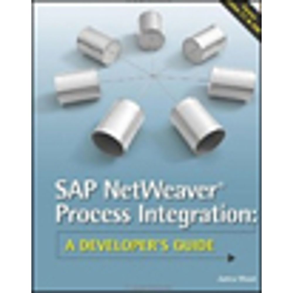 SAP NETWEAVER PROCESS INTEGRATION - A DEVELOPER'S GUIDE ...